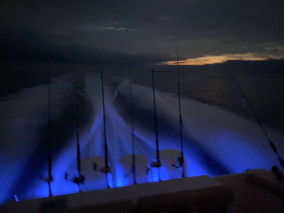 CO3 Mission - Tuna Ridge – Coldcoast